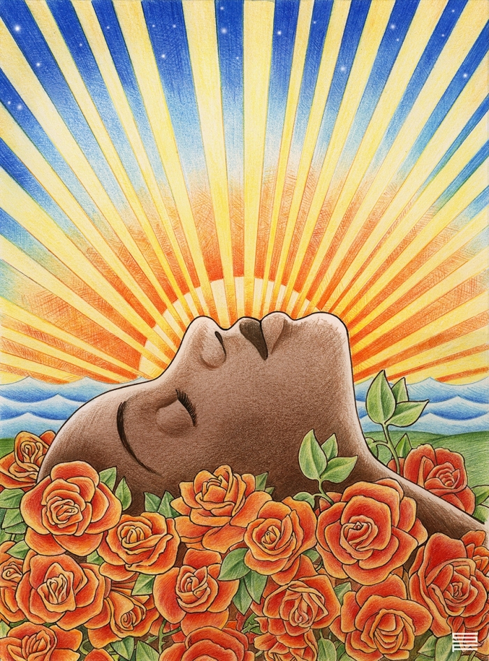 Stephen Foster Design